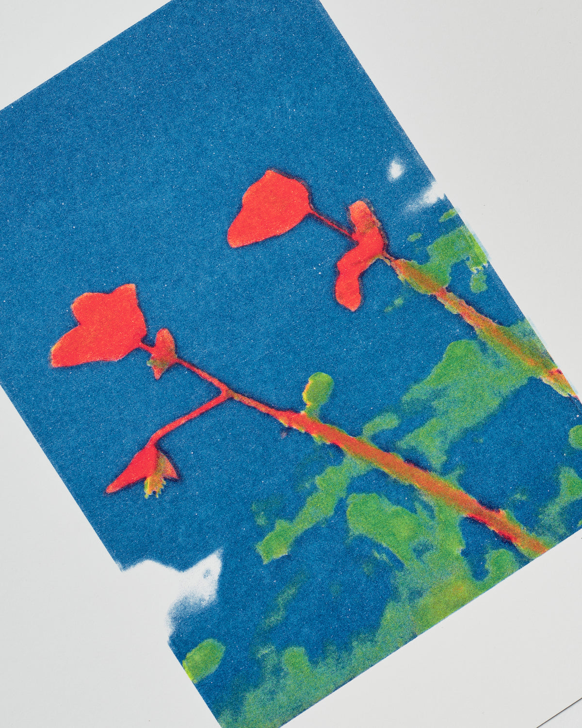 Artist Print Last Summer No.3 by Joe Cruz – Hato Press